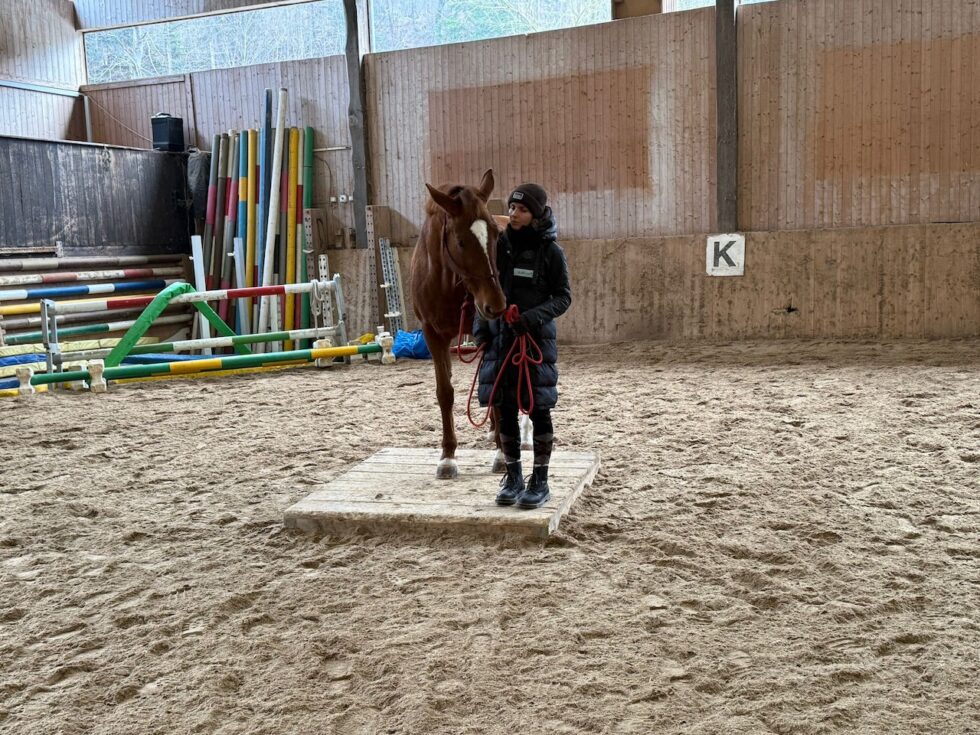 Extrem Trail Kurs, 09.02.2025 | Reitsportzentrum Sankt Josefen