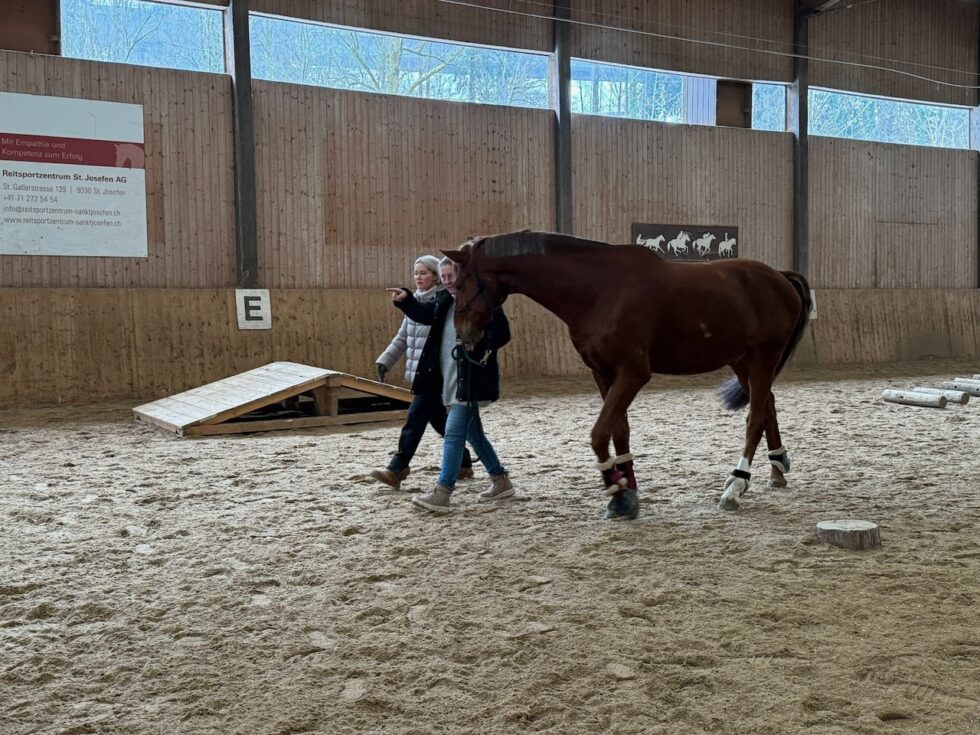 Extrem Trail Kurs, 09.02.2025 | Reitsportzentrum Sankt Josefen